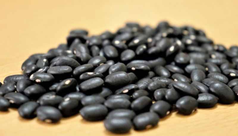 Descubren una variedad de poroto con características culinarias superiores