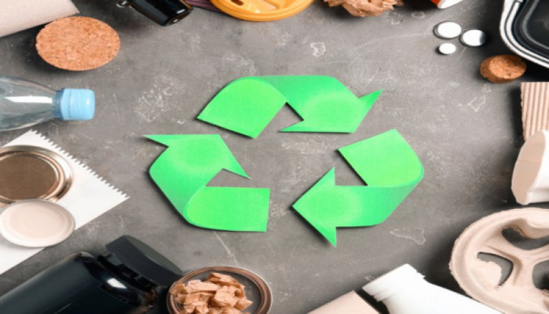 Empaquetando el Futuro: 4 tendencias emergentes en envasado sustentable