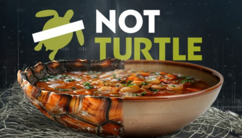 NotCo desarrolla con IA una alternativa a la sopa de tortuga